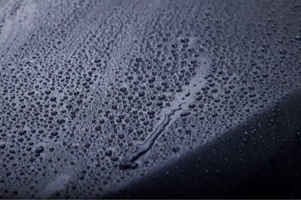 How to Achieve Water Beading on Your Car | Gold Eagle Co.
