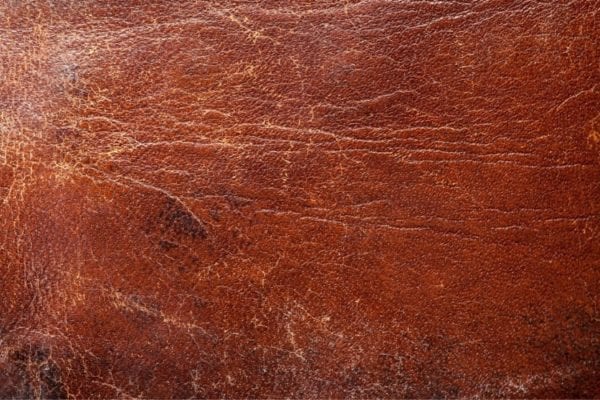 5 Things That Ruin Leather (and 3 Things That Fix it) – Gold Eagle